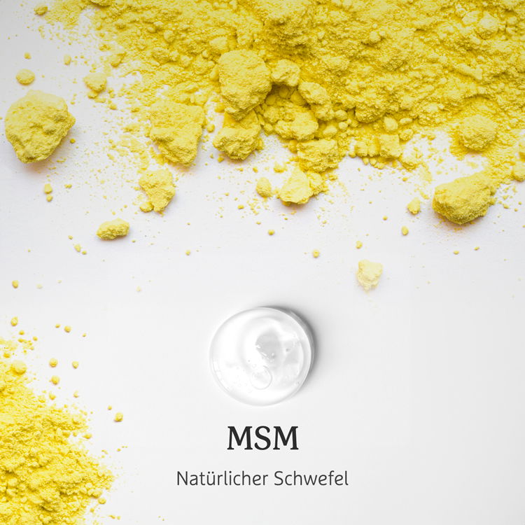 MSM Gel für Gesicht und Körper - 200 ml - Ohne Parabene